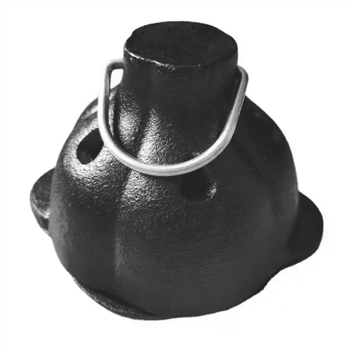 Cast Iron Smoker Roaster Garlic Roster , Box, Pre-Seasoned for Grill ...