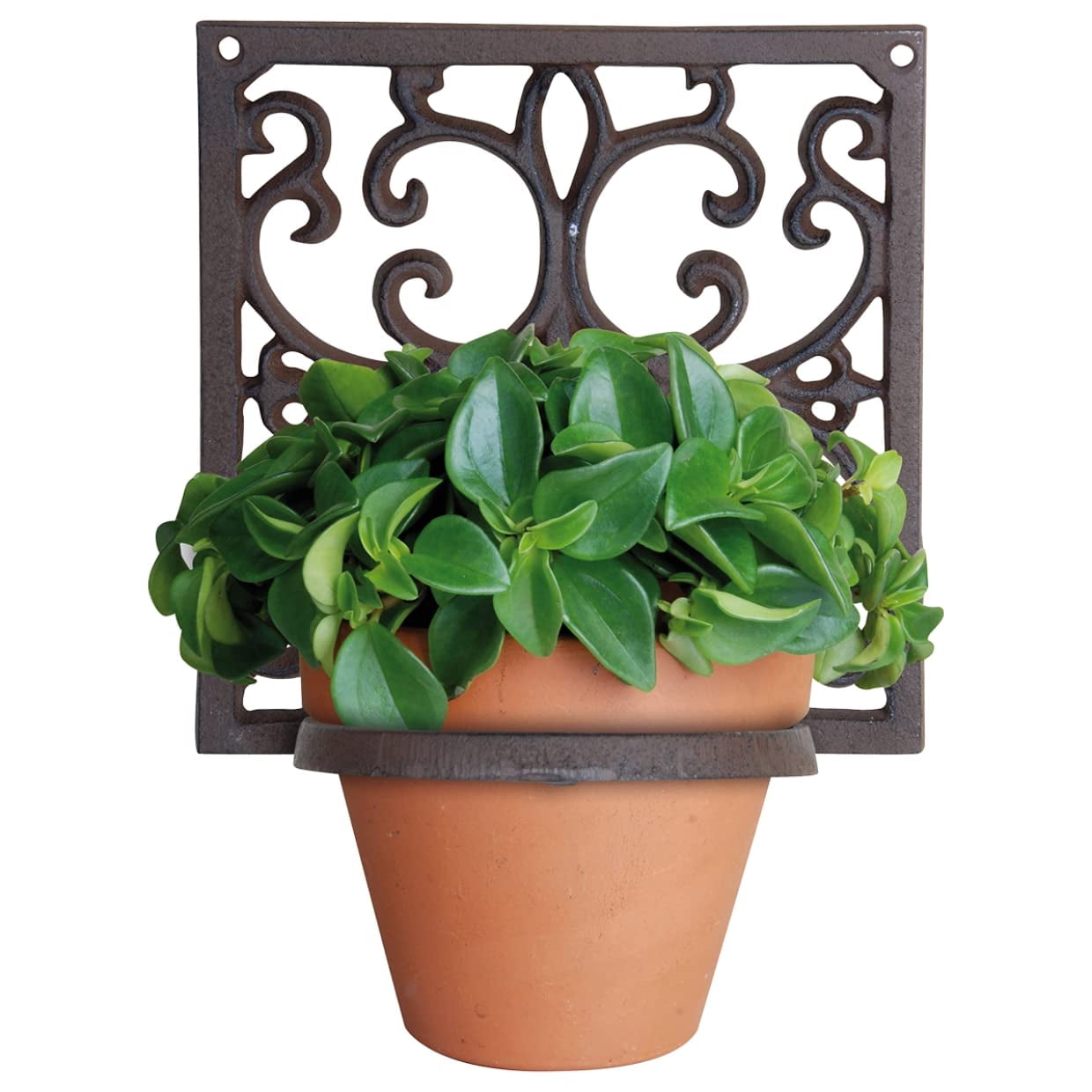 Esschert Design Cast Iron Flowerpotholder Classic 1 Pot, 7.8 x 6.5 x 8. ...