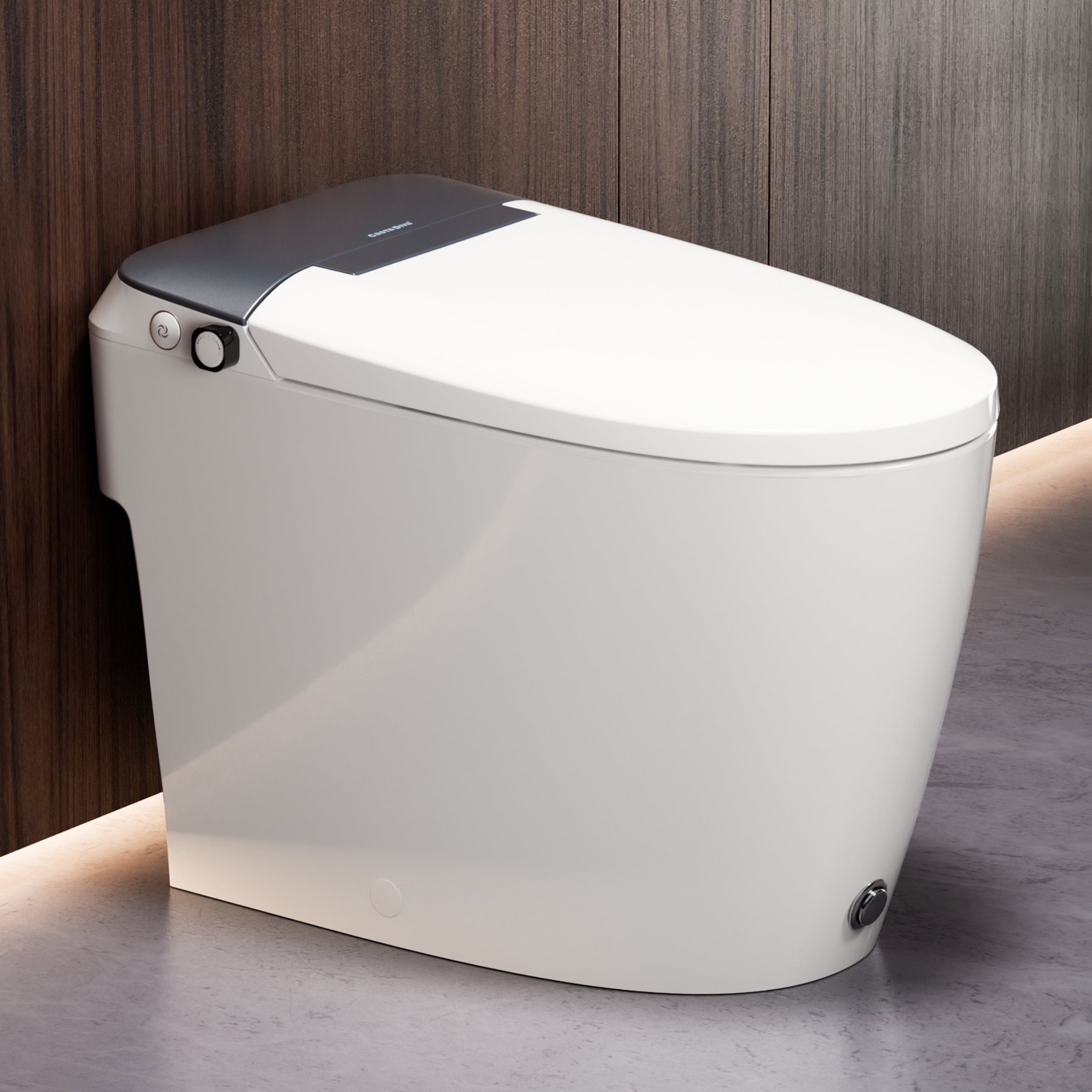 Casta Diva Non-Electric Bidet Toilet, Comfort Seat Height Elongated ...