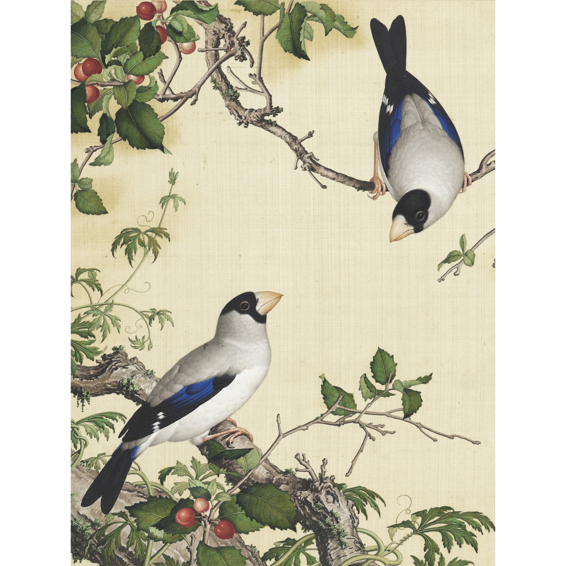 Castiglione Cherry Tree Birds Painting Extra Large Art Print Wall Mural ...