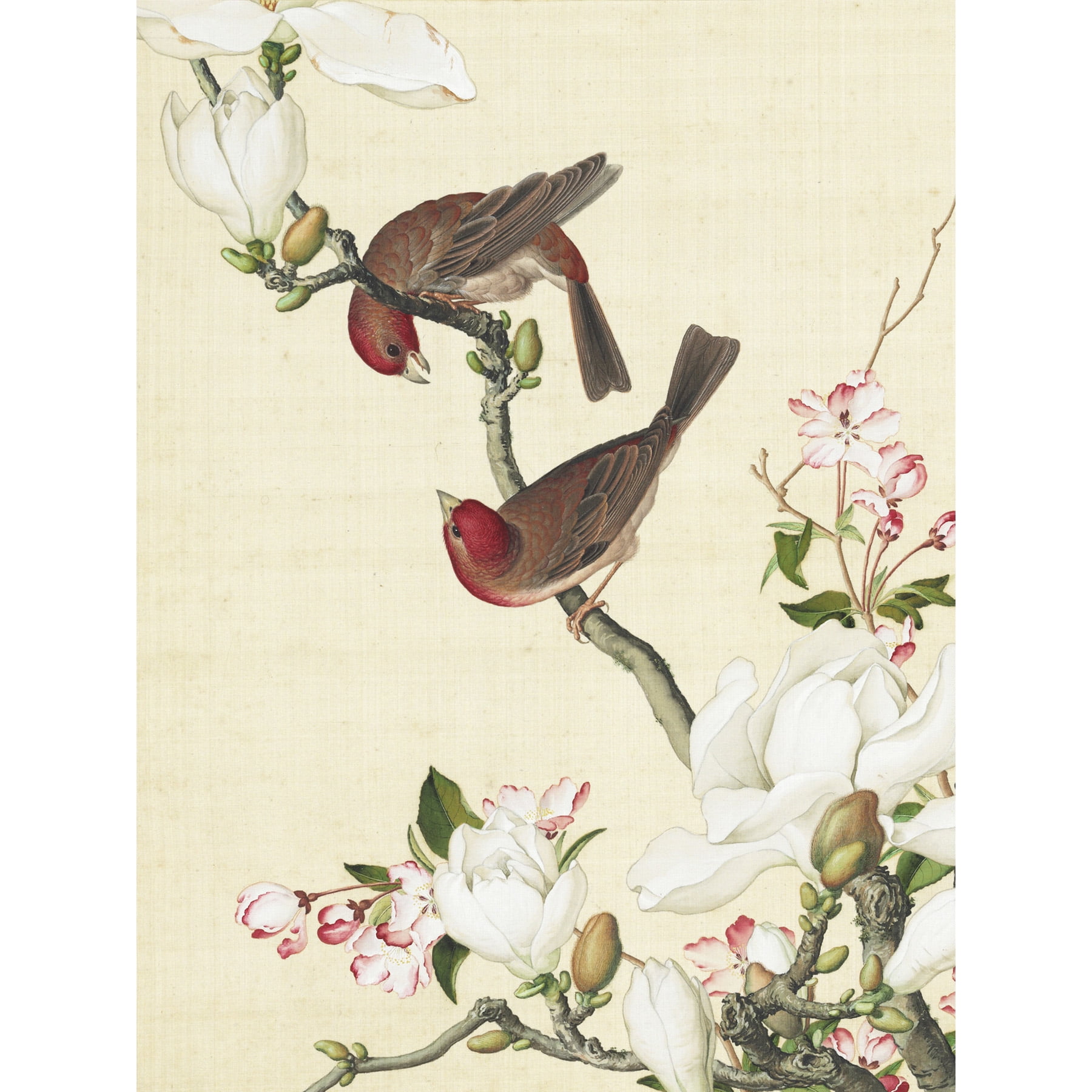 Castiglione Crabapple Tree Birds Painting Extra Large Art Print Wall ...