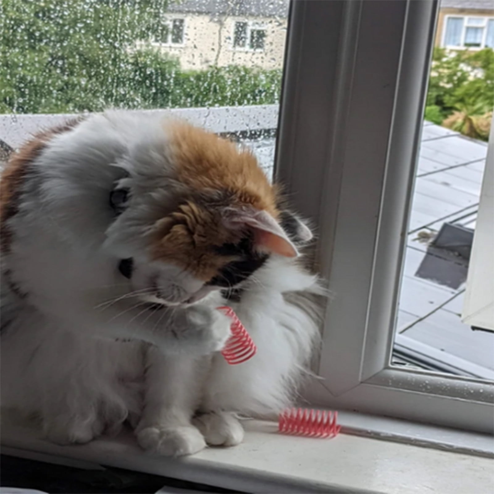 Cat 4PC Spring Sensory Sack Colored Interactive Toy Toy Brain Games for ...