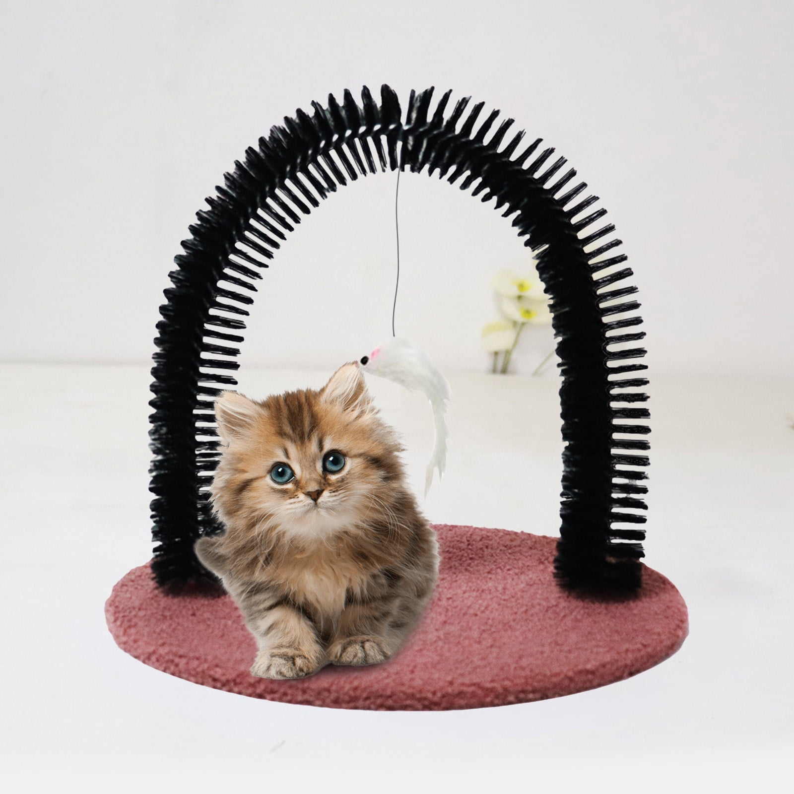 Cat Arch Grooming Brush, Interactive Cat Self Groomer with Scratching ...