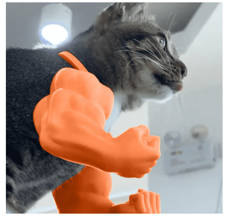 Cat Arms, Cat Muscle Arms, 3D Printed Cat's Neck Arm with Muscle ...