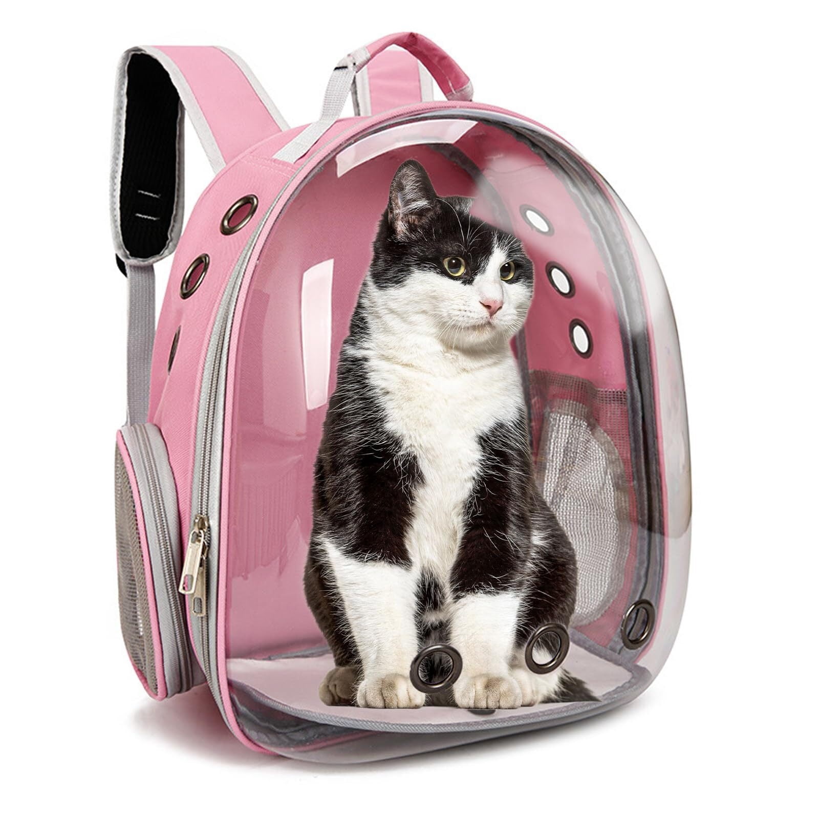 A Cat Backpack Carrier Bubble Bag, Transparent Space Capsule Pet ...