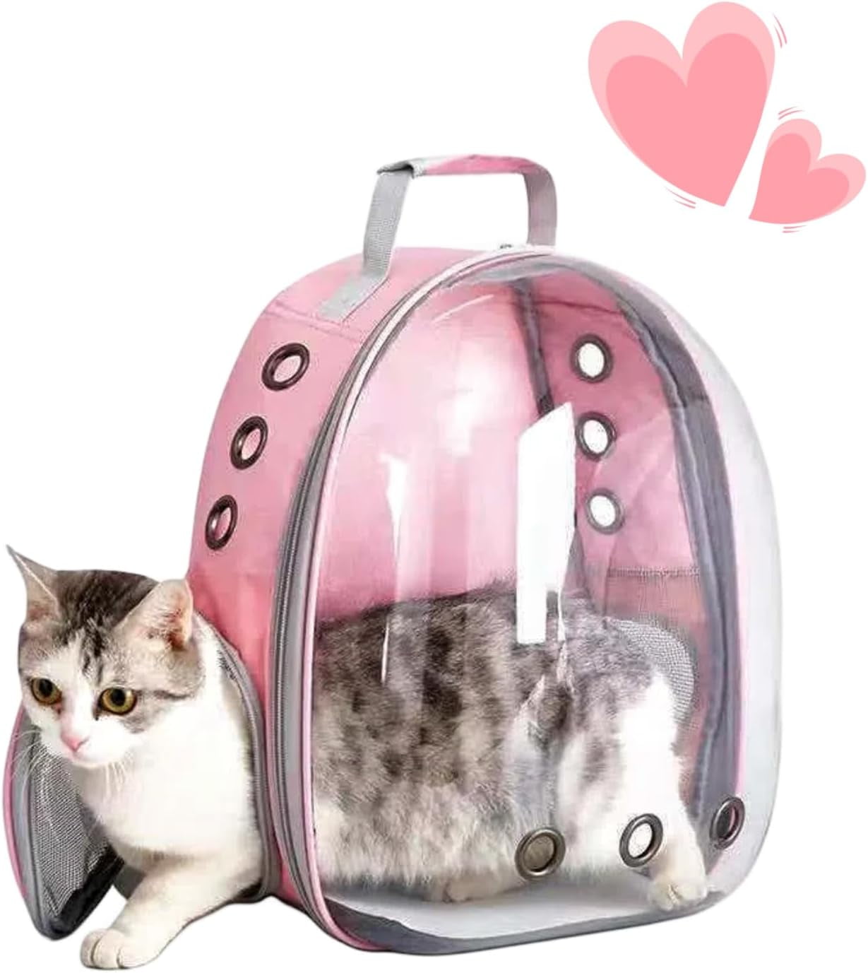 Cat Backpack Cats and Dogs Pet Carrier Hard Suitable for Cats Traveling ...