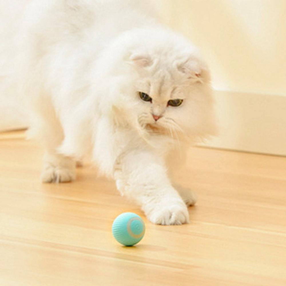 Cat Balls, Interactive Self Auto Rotating Intelligent Ball, Smart USB ...