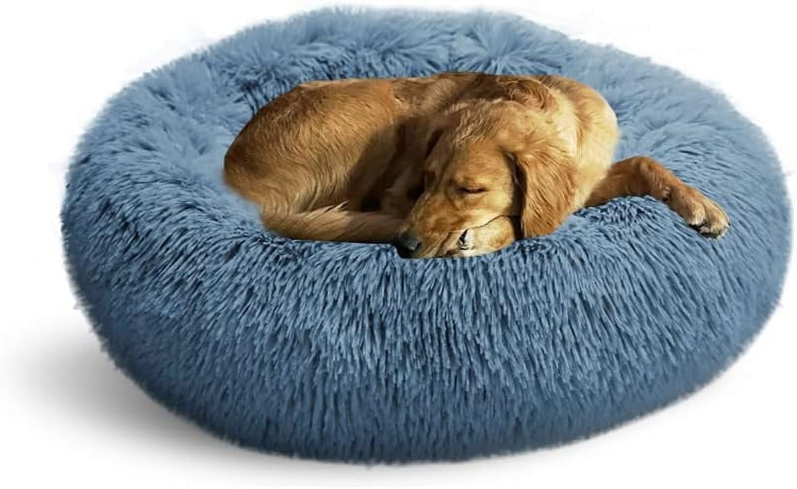 Cat Bed, Cat Beds for Indoor Cats Washable, Orthopedic Soft Fluffy ...