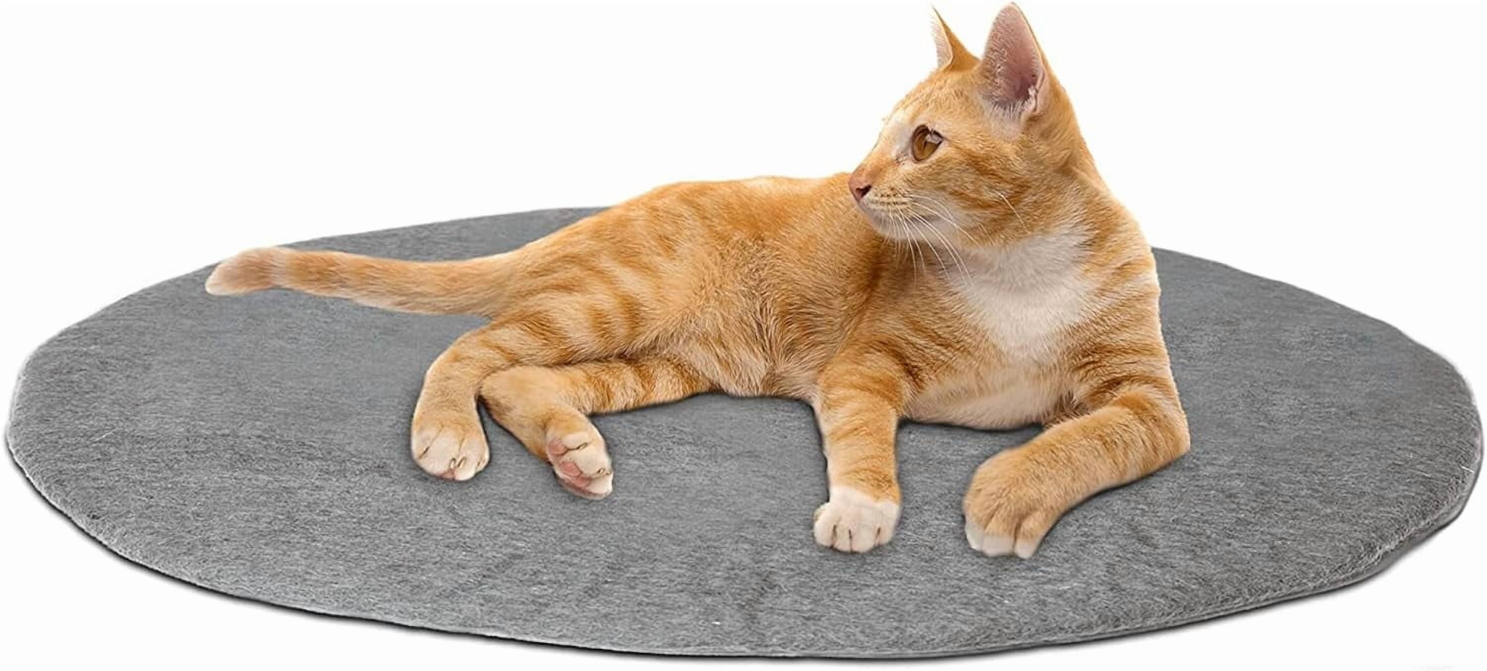 Cat Bed Mat Natural Merino Wool Cozy Large Carpet Pad for Pet Cats ...