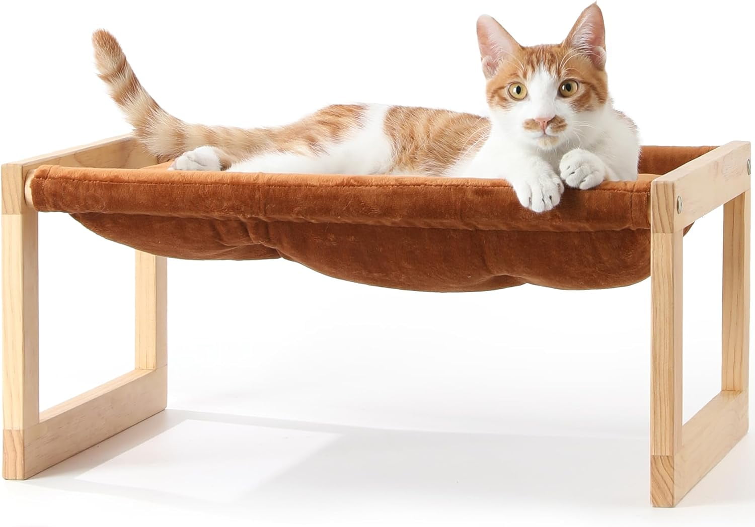 Cat Bed with Removable Cover, Plush Velvet Sofa for Indoor Cats, Wooden ...