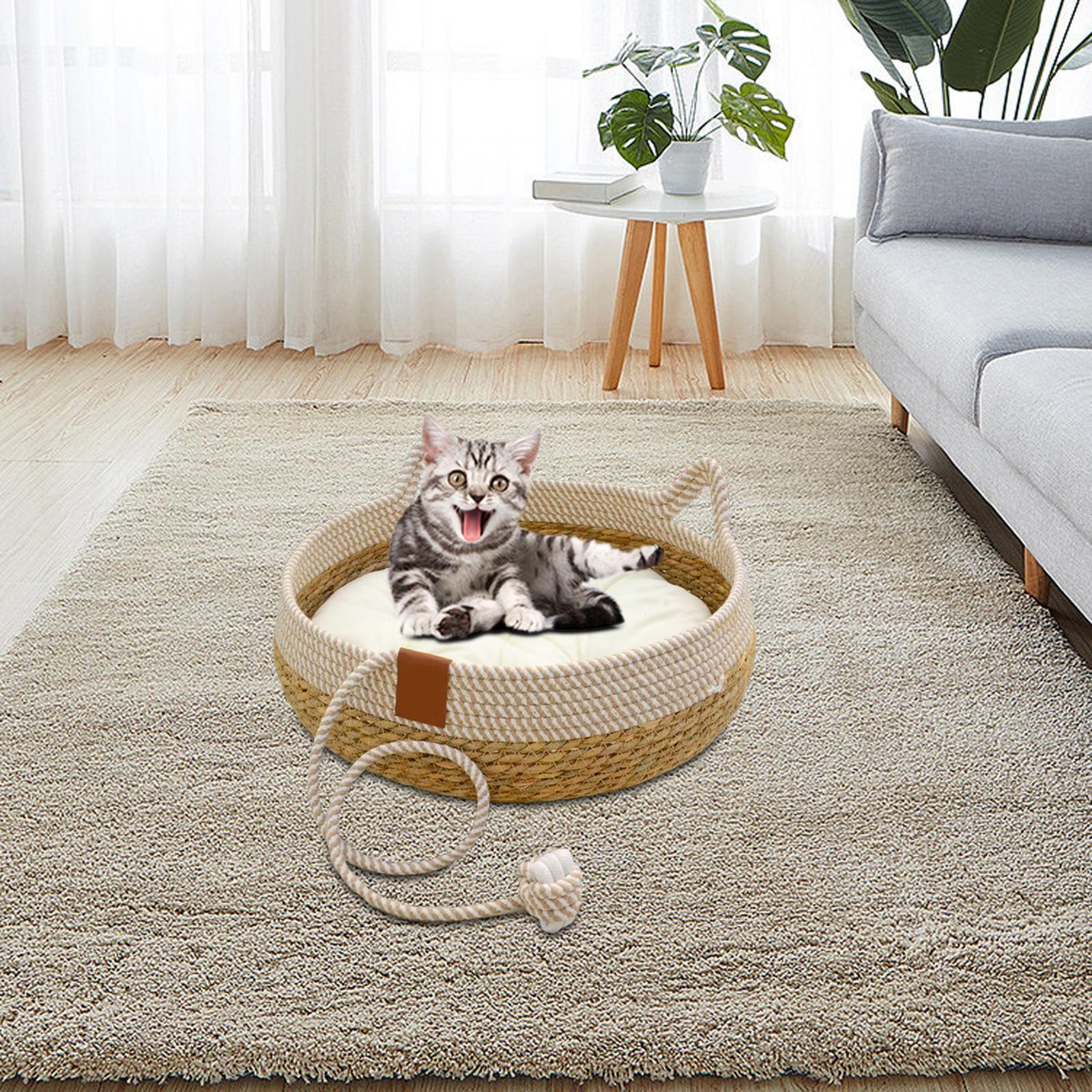 Cat Bed Wear Resistant Anti Slip Bottom Cat Scratching Lounge Bed for ...