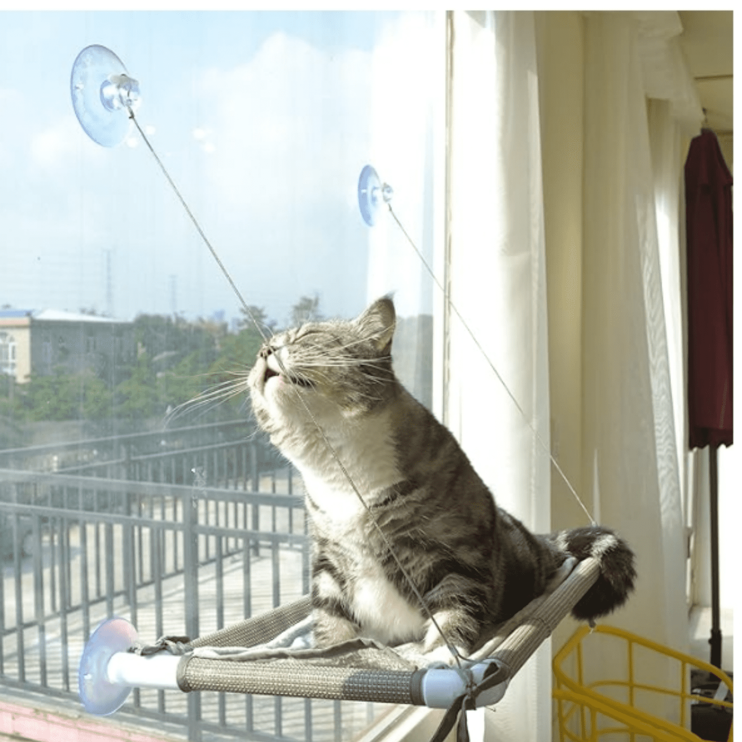 Cat Bed Window, Cat Window Hammock Window Perch, Safety Cat Shelves ...