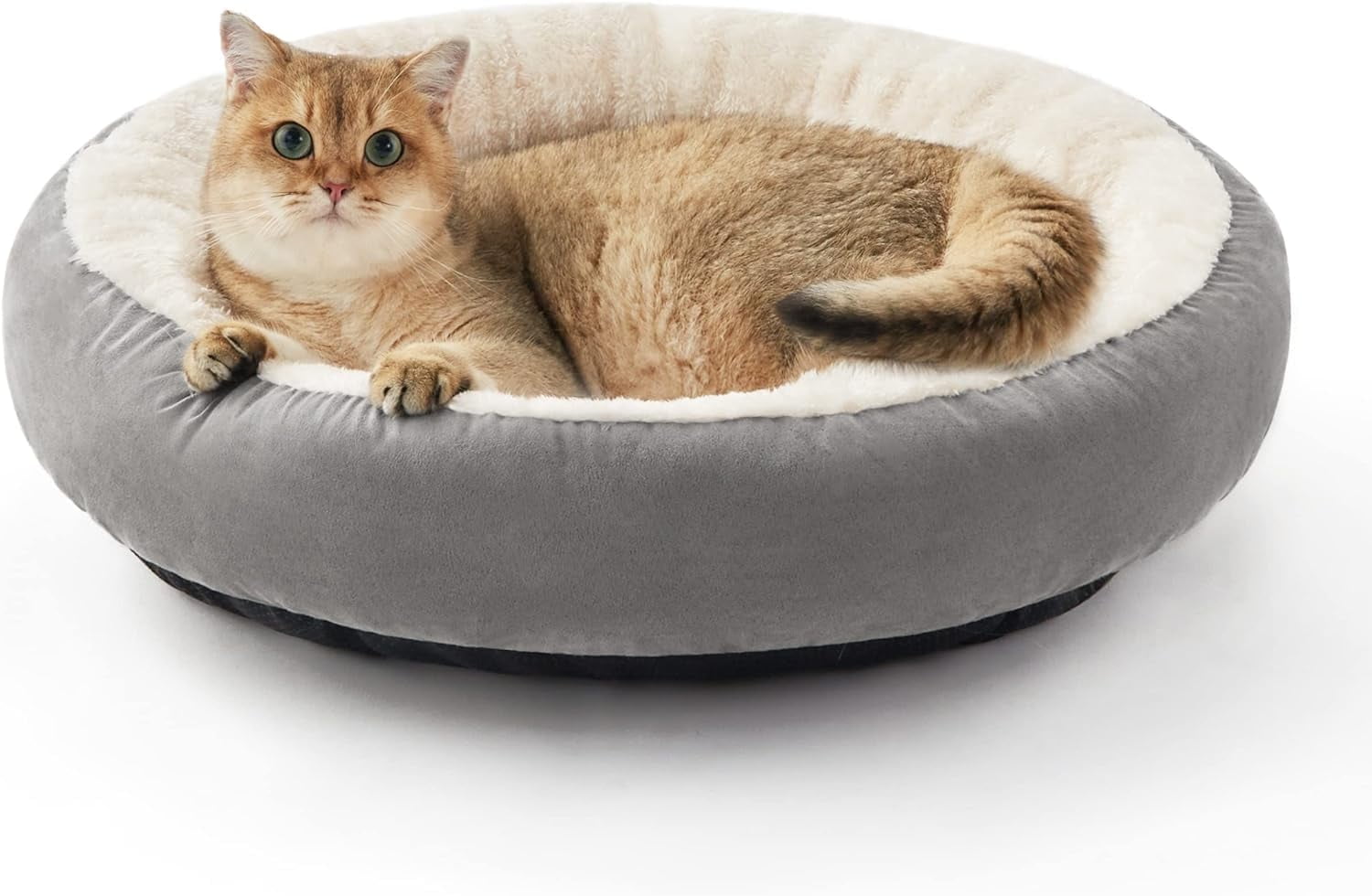 Cat Bed for Indoor Cats, Machine Washable Cat Beds, 20 inch Pet Bed for ...