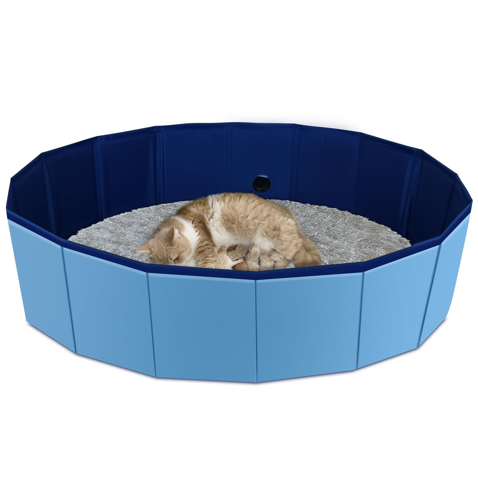 Cat Birthing Box,Whelping Box OIF8 for Cats,Cat Birthing Nesting Pool ...
