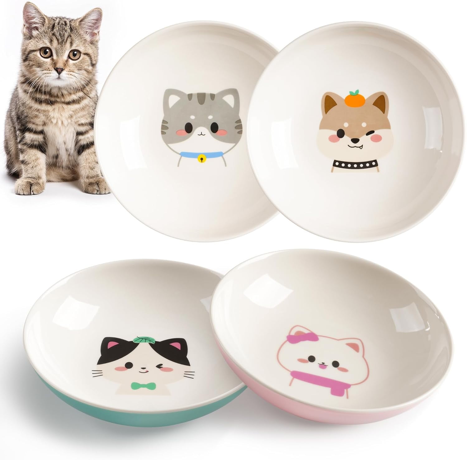 Cat Bowls, Ceramic Cat Food Bowl Set with White Silicone Ring for Non ...