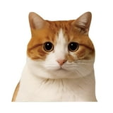 Cat Car Stickers Peeking Cat Sticker, Funny Car Bumper Decal Waterproof PVC Cats Decal Cartoon ...