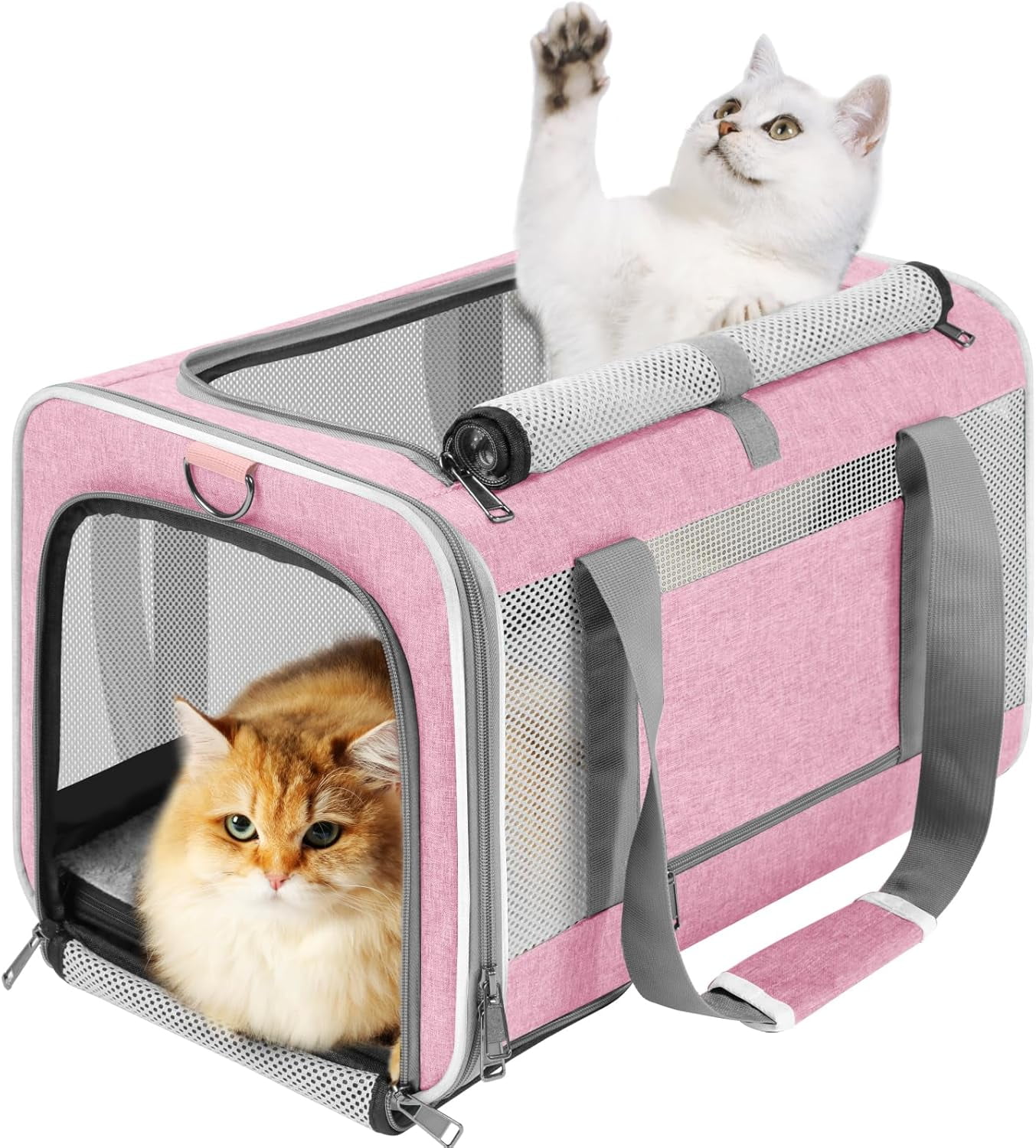 Cat Carrier 20lbs Top Open/Soft Sided Small Pet Dog Travel Carrying ...