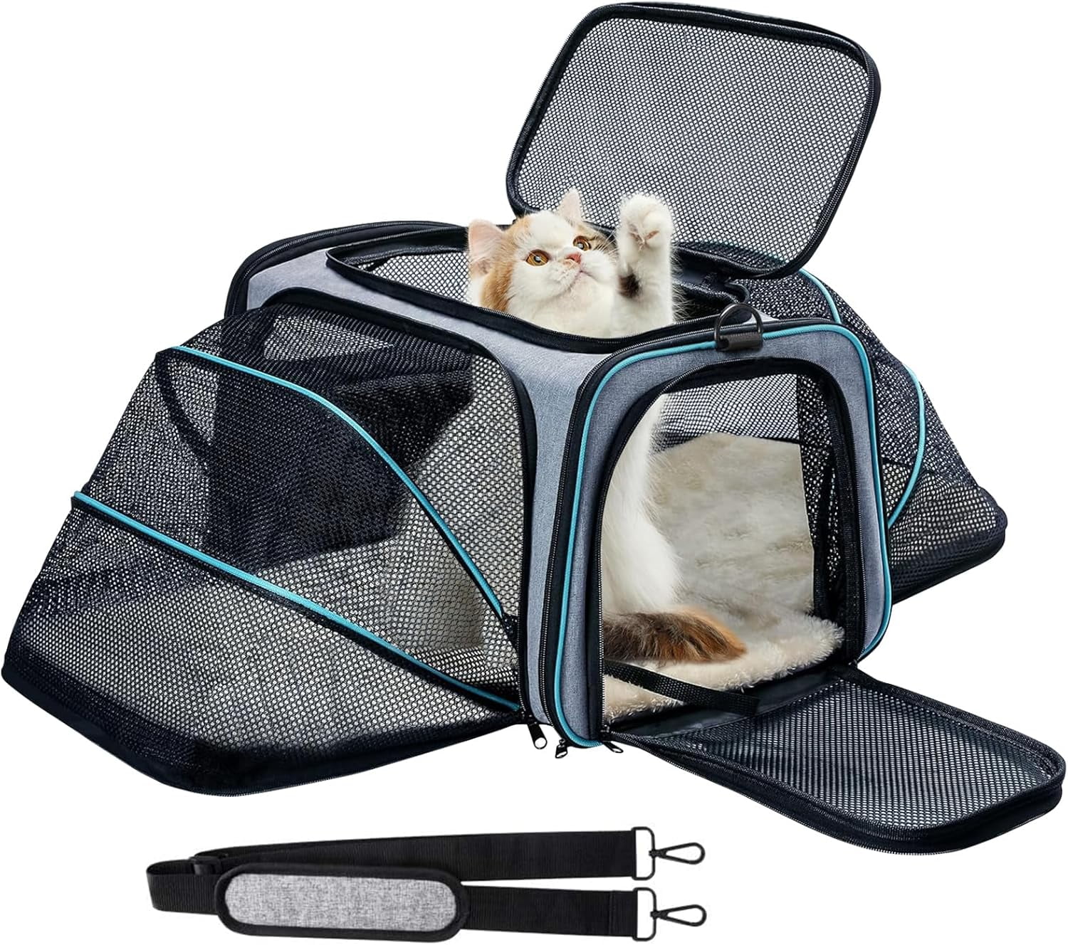 Cat Carrier Airline Approved Pet Carrier, Expandable Foldable Soft ...