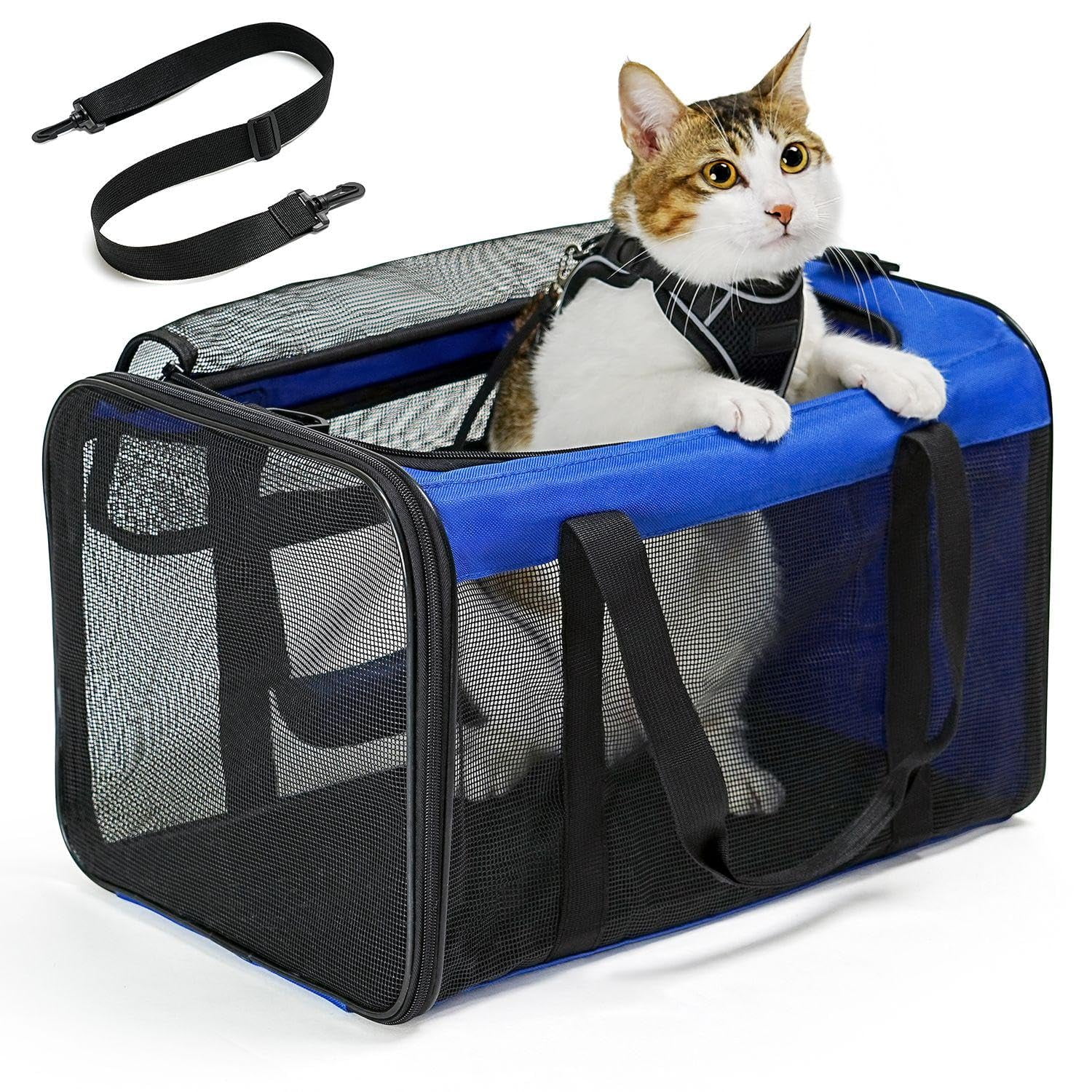 Cat Carrier Bag,Soft-Sided Pet Carriers for Dogs with 4-Sided Mesh ...