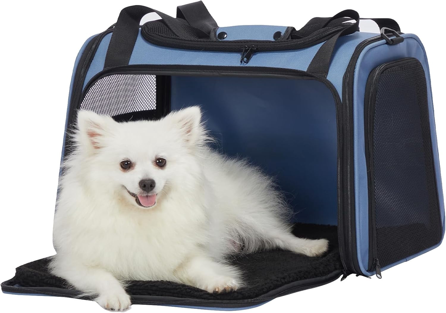 Cat Carrier, Pet Carrier Airline Approved, Cat Travel Carrier for Small ...