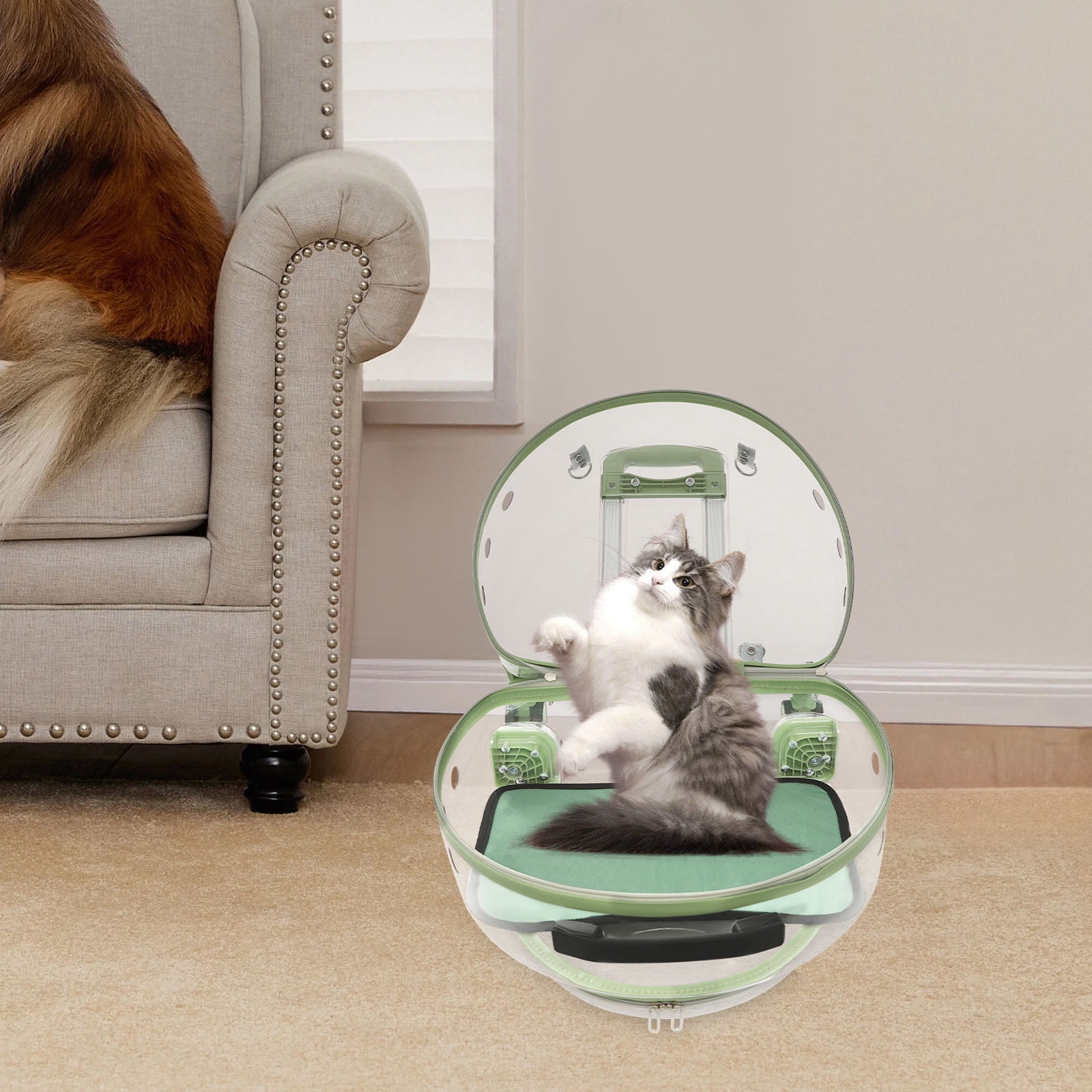Cat Carrier with Wheels, Transparent Green PC Shell, Telescoping Handle ...