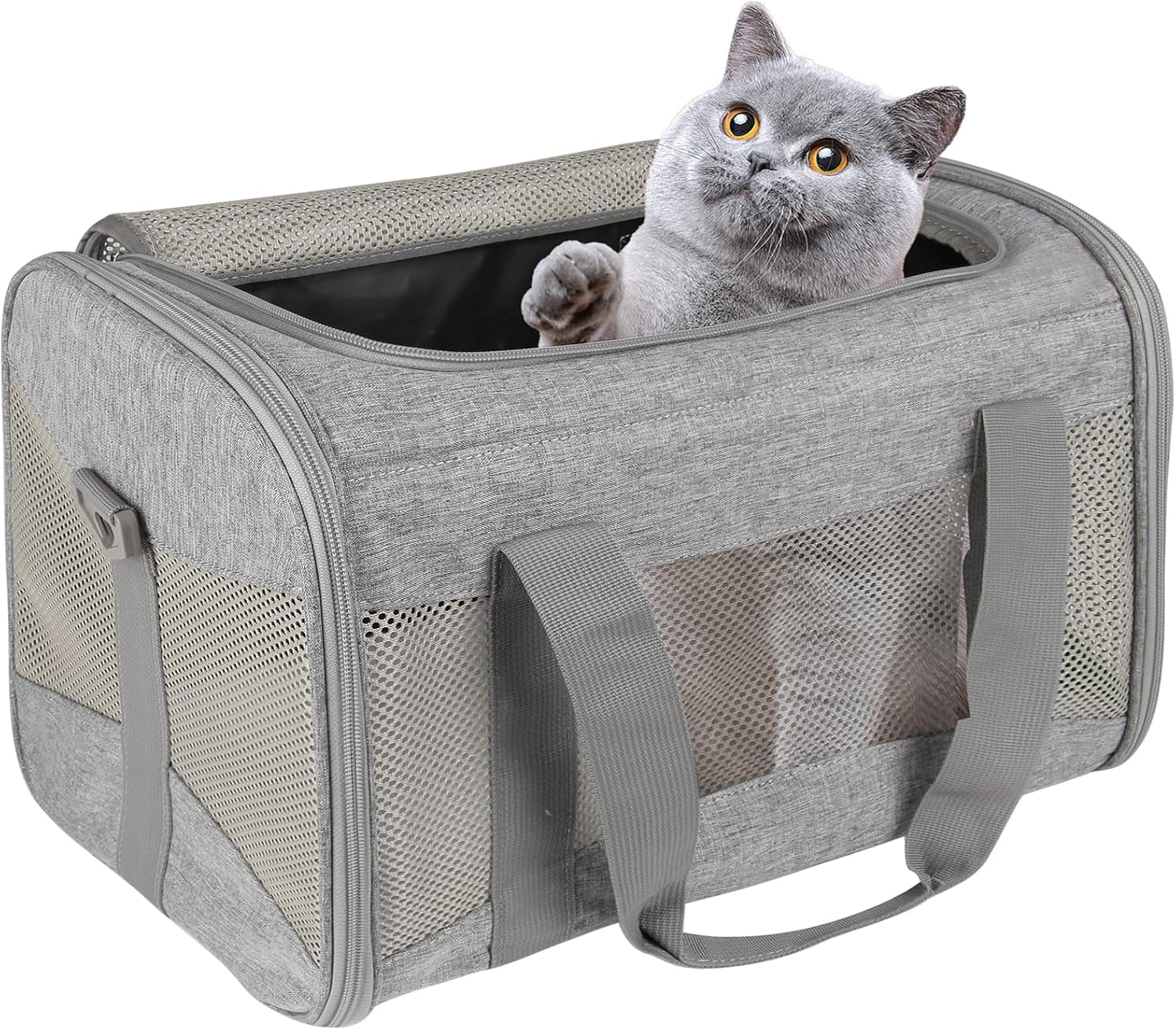 Cat Carrying Case Pet Dog Carrier Soft-Sided Cat Bag Airline Approved ...