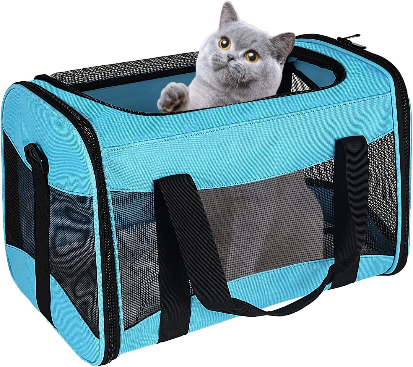 Cat Carrying Case Pet Dog Carrier Soft-Sided Cat Bag Airline Approved ...