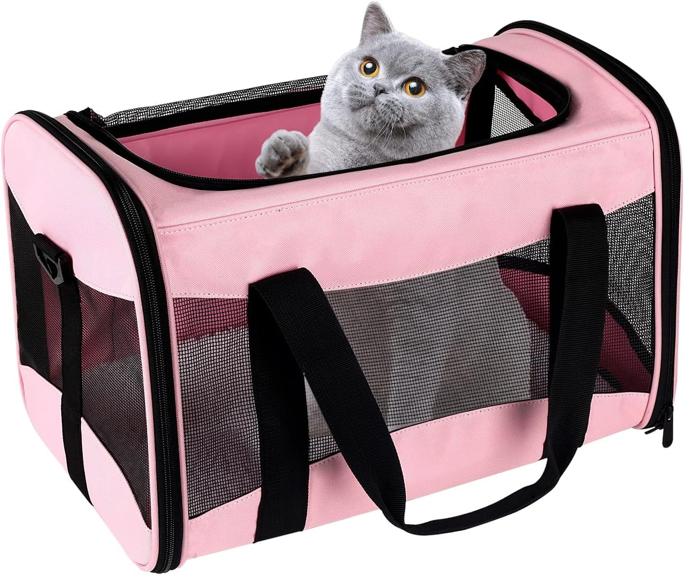 Cat Carrying Case Pet Dog Carrier Soft-Sided Cat Bag Airline Approved ...