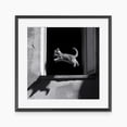 Cat Cat Wall Art Retro Black and White Museum Quality Photography ...