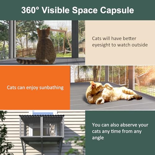 Cat Catio, Cat Window Perch for Large Indoor Cats - for Sunbathing ...