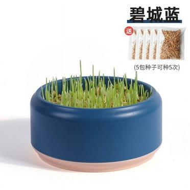 Cat Grass Planting Box Soilless Planter Catnip Pot For Home Pots Plants ...