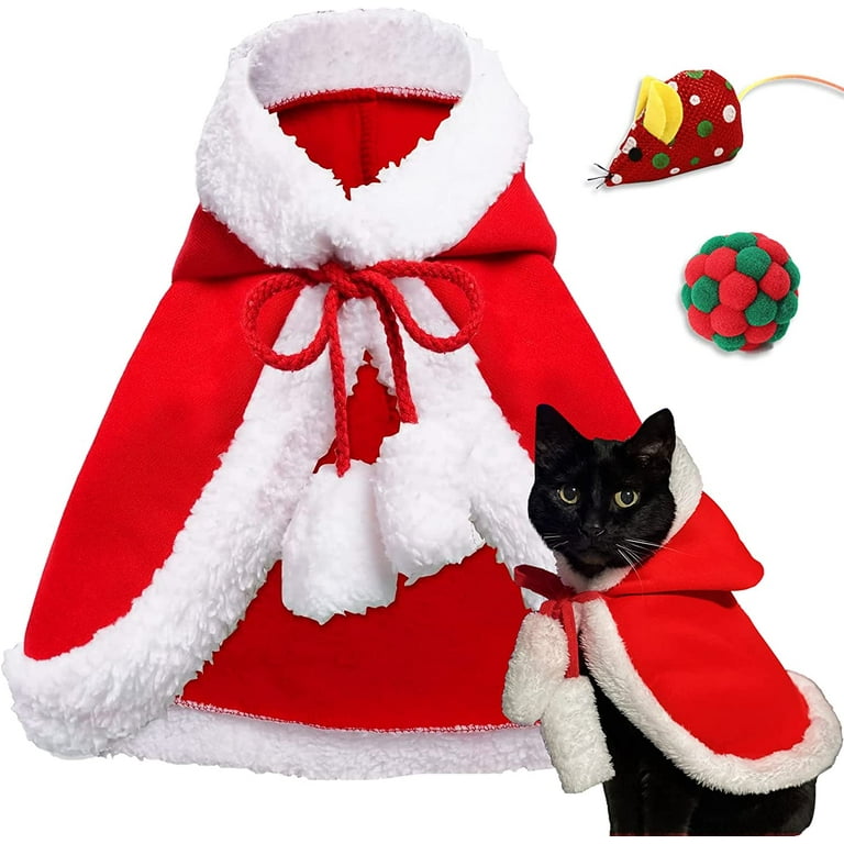 Cats In Christmas Costumes
