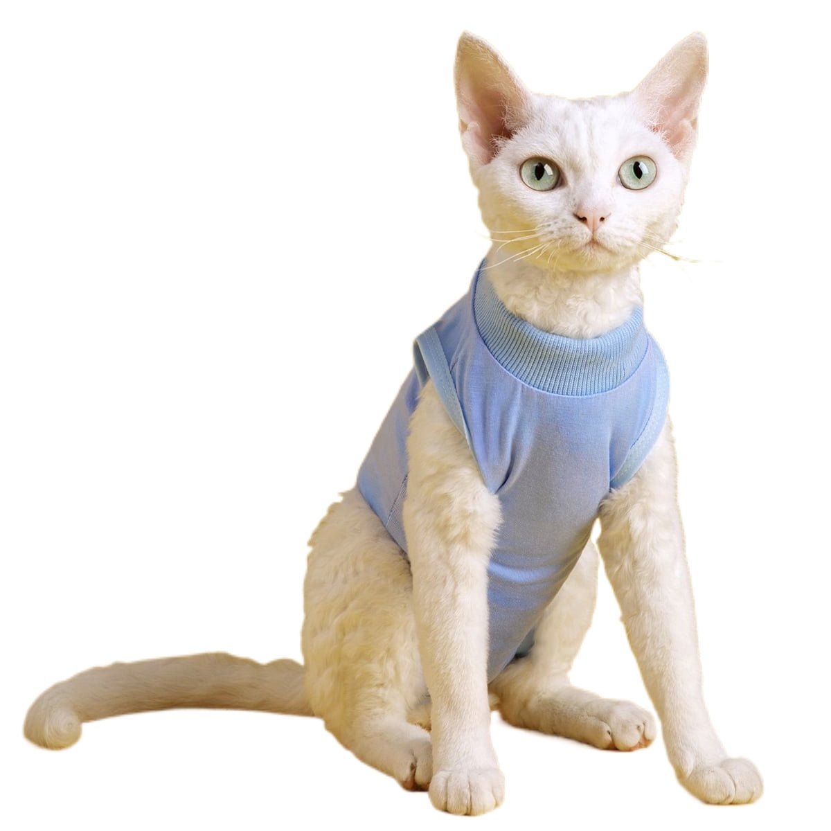 Cat Clothes Maternity Spaying Suit Post-Weaning Recovery Suit Anti ...