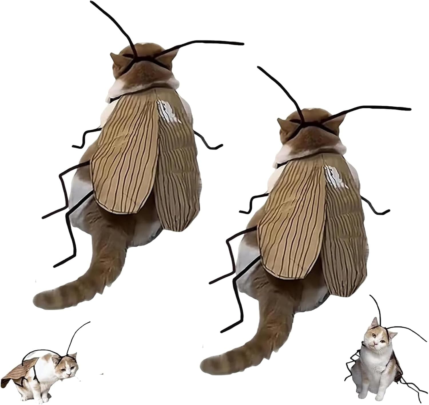 Cat Cockroach Clothing DIY Kit, Cat Cockroach Costume, Funny Cats ...