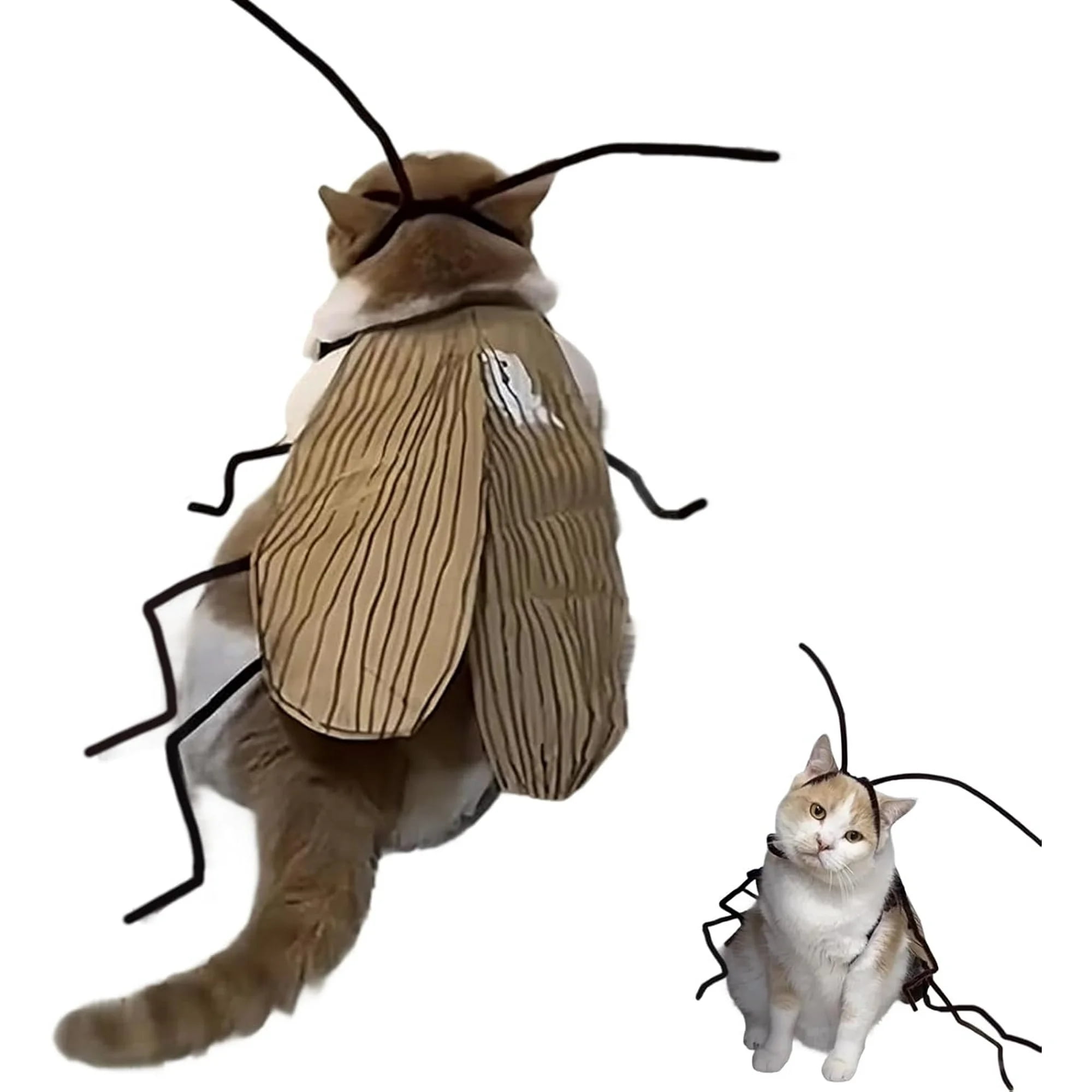 Cat Cockroach Clothing DIY Kit, Funny Cat Costume Accessories, Roach ...