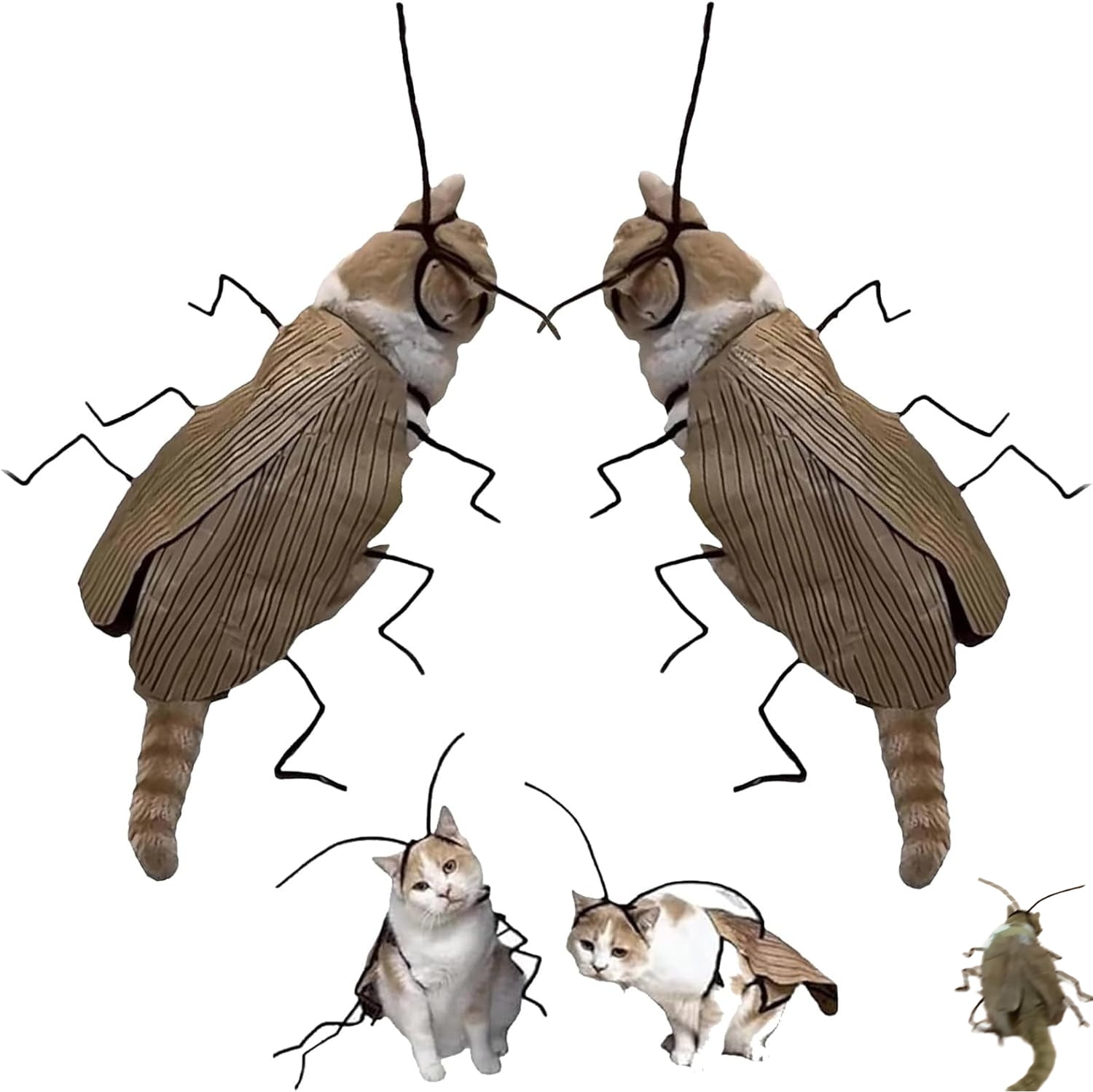 Cat Cockroach Clothing DIY Kit, Funny Cat Costume with Roach Wings and Antenna, Cockroach Kitten ...