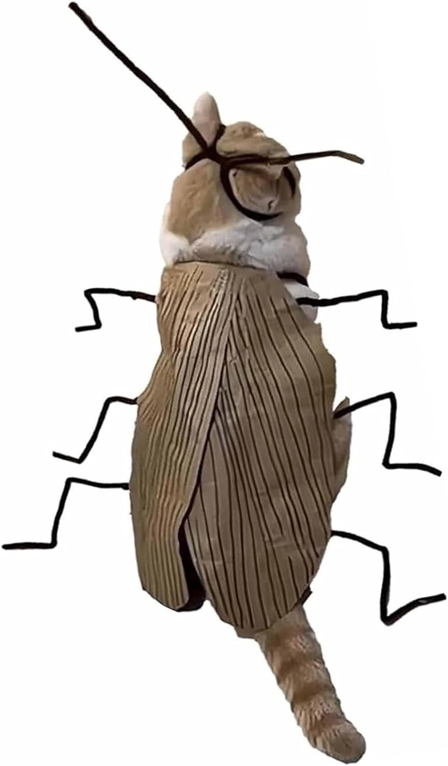 Cat Cockroach Clothing DIY Kit, Funny Cat Costume with Roach Wings ...