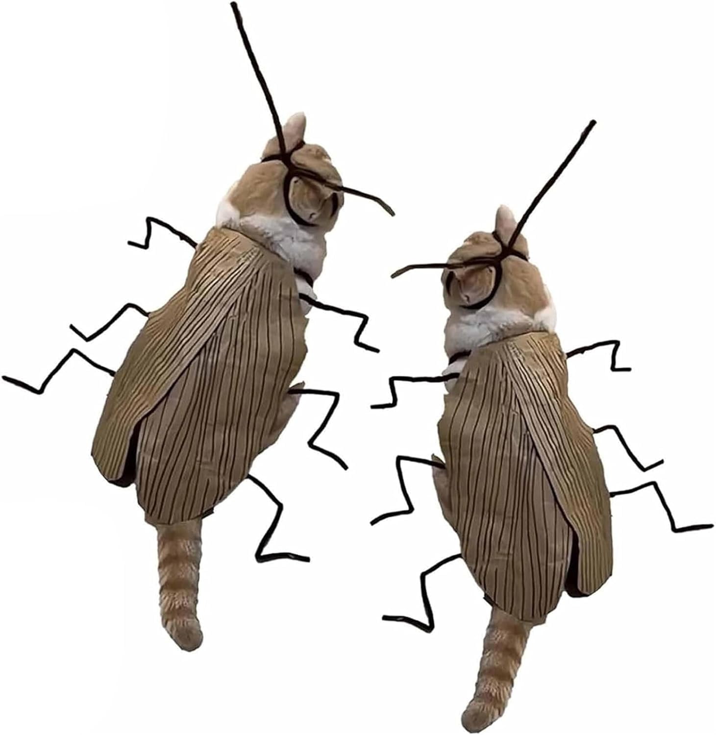 Cat Cockroach Clothing DIY Kit, Funny Cat Costume with Roach Wings ...