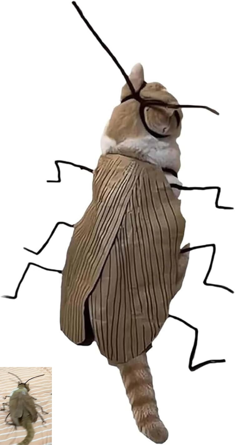 Cat Cockroach Clothing DIY Kit, Funny Cat Costume with Roach Wings and Antenna, Kitten Costume ...