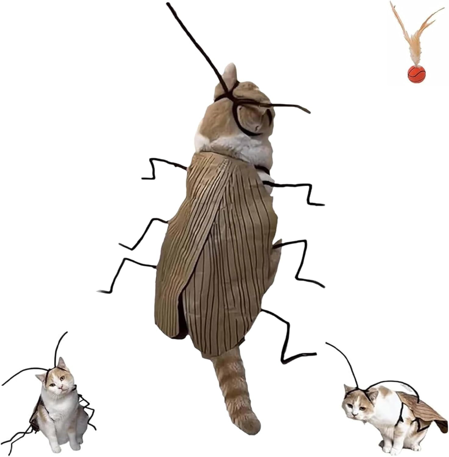 Cat Cockroach Clothing DIY Kit, Funny Cockroach Kitten Pet Cape Craft ...