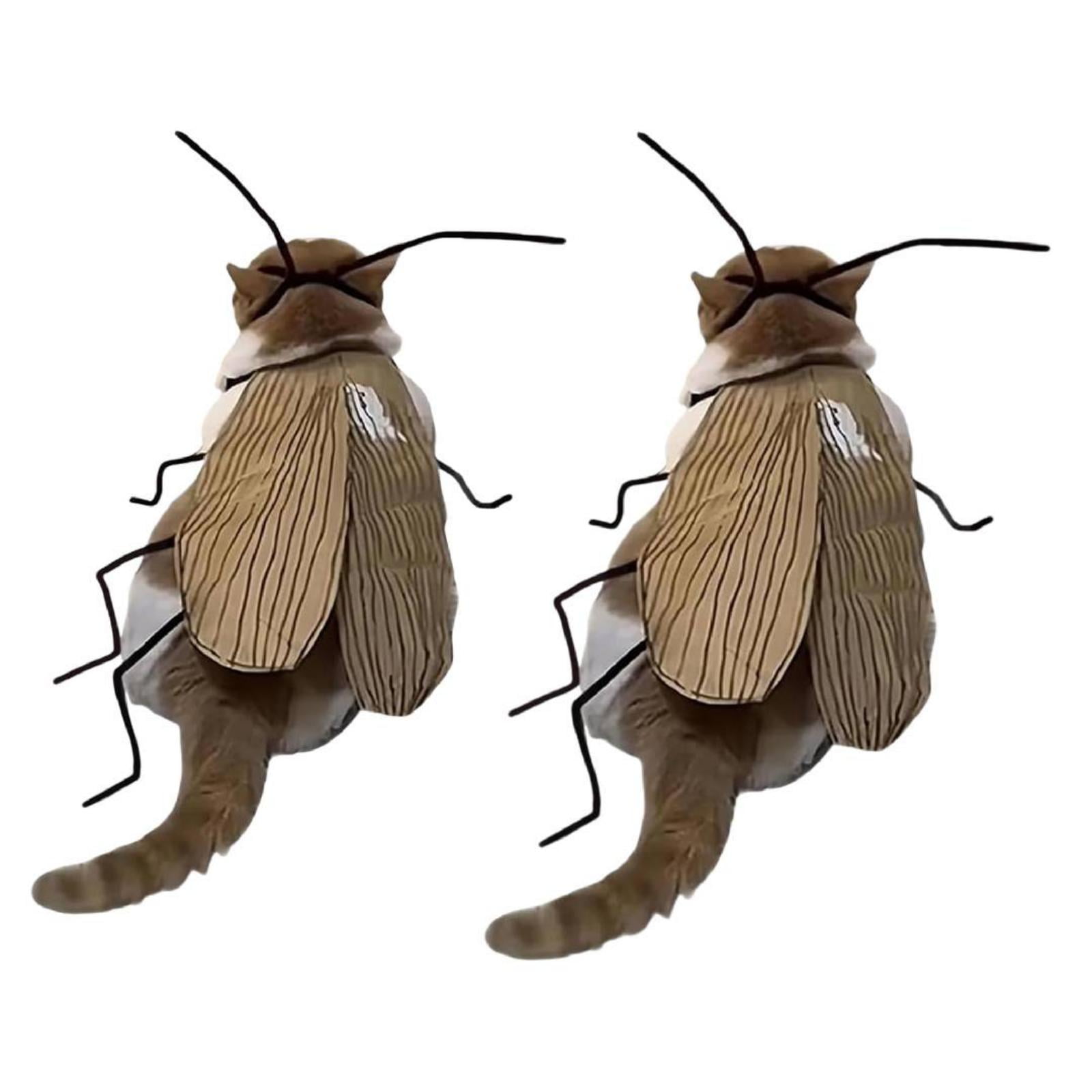 Cat Cockroach Clothing DIY Kit, Funny Cockroach Kitten Pet Cape Craft ...