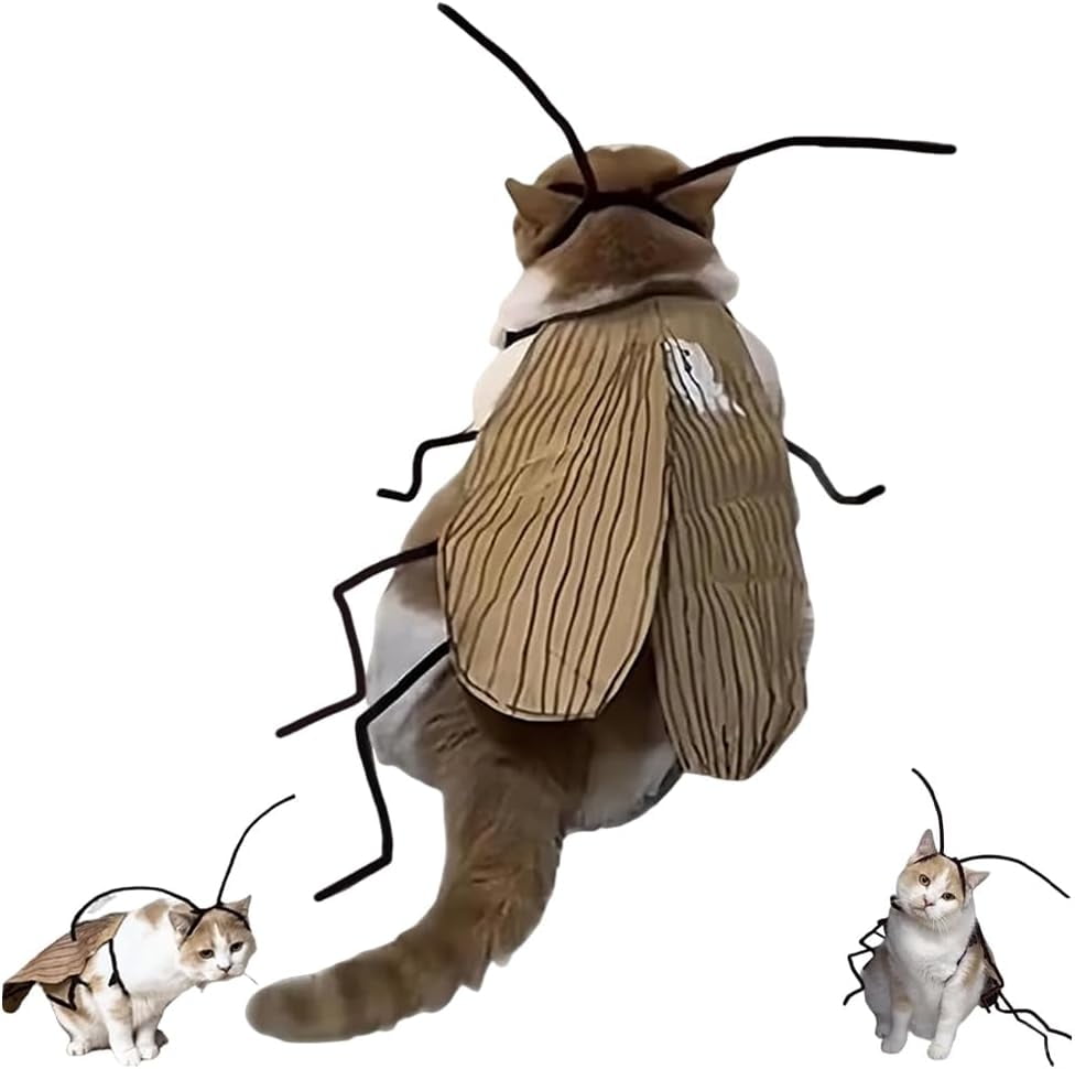 Cat Cockroach Clothing DIY Kit, Funny Kitten Cape Craft Set, Cosplay ...