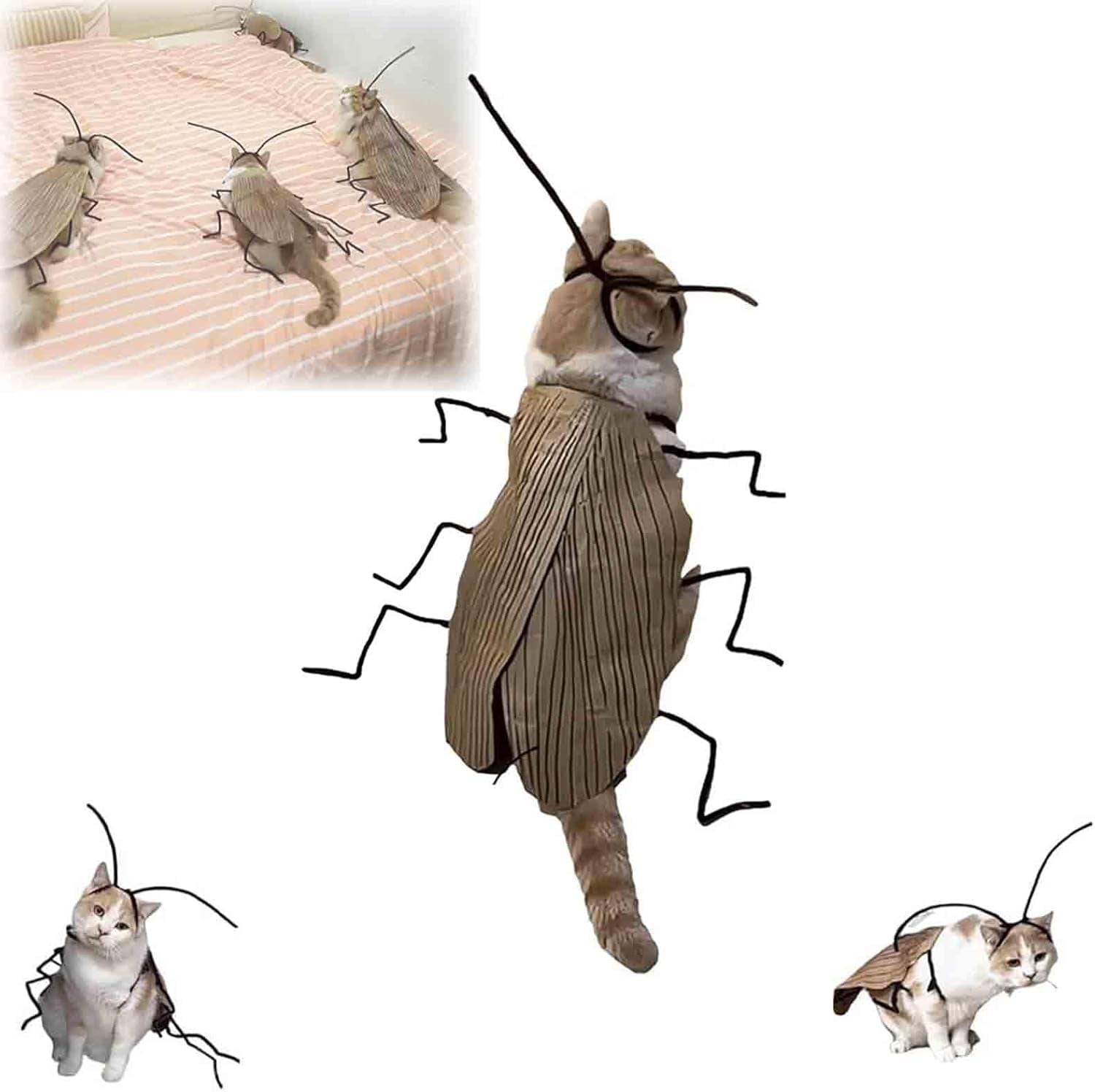 Cat Cockroach Clothing DIY Kit, Funny Kitten Cape Craft Set, Kitten Costume Accessories with ...