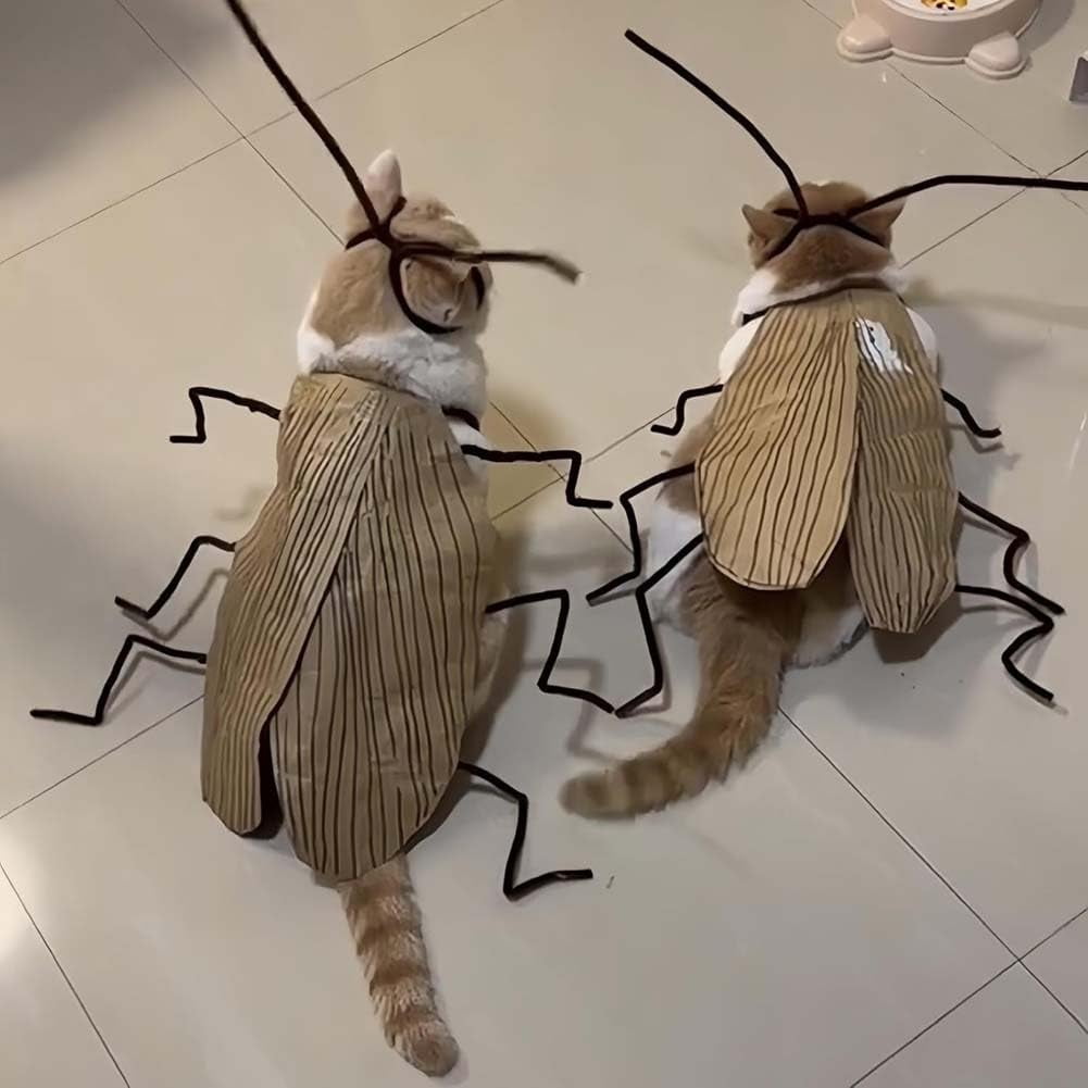 Cat Cockroach Costume, Clothing DIY Kit for Cats with Roach Wings and ...