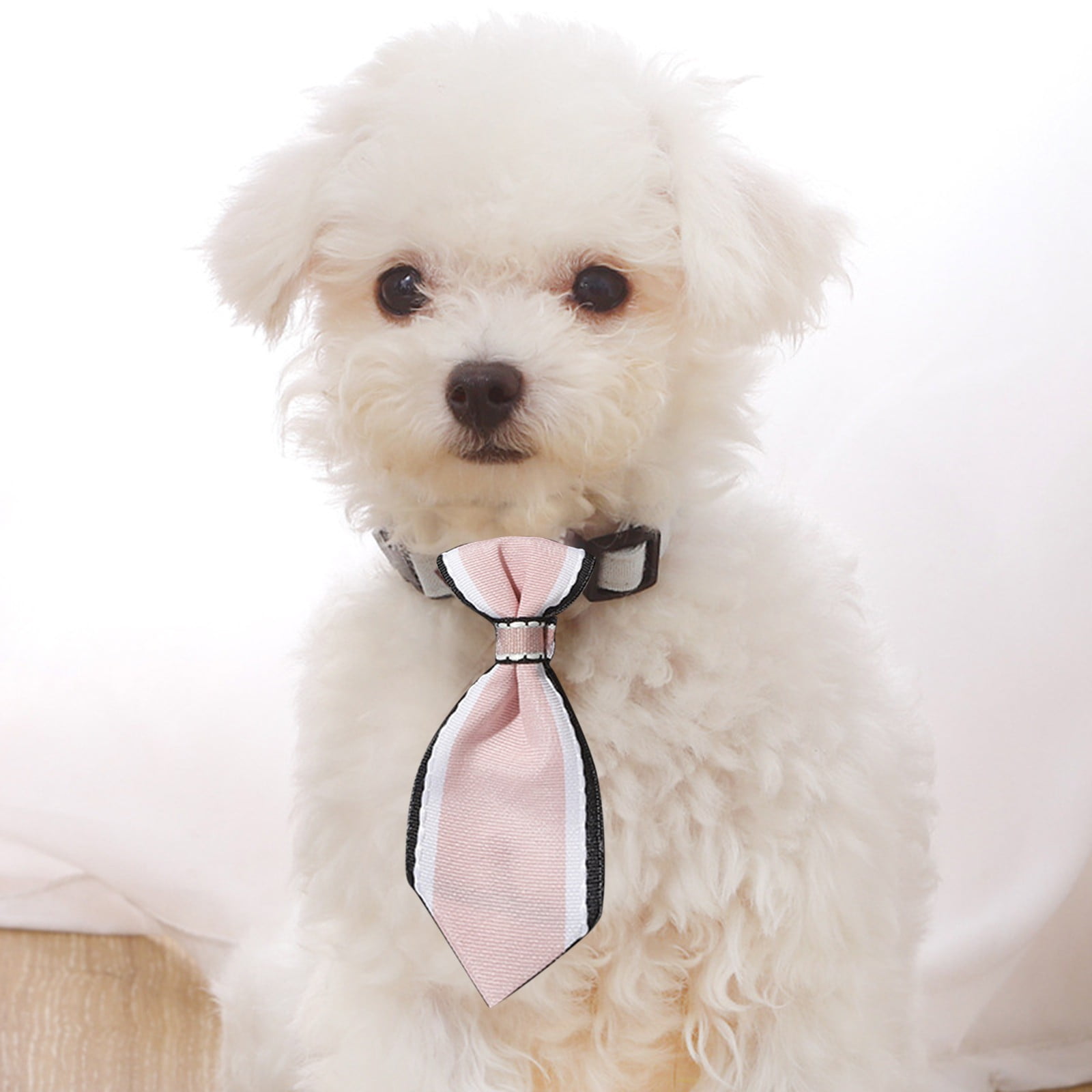Cat Collate Excellent Dog Ties With Dog Bow Ties Elastics Cute Dog Ties ...