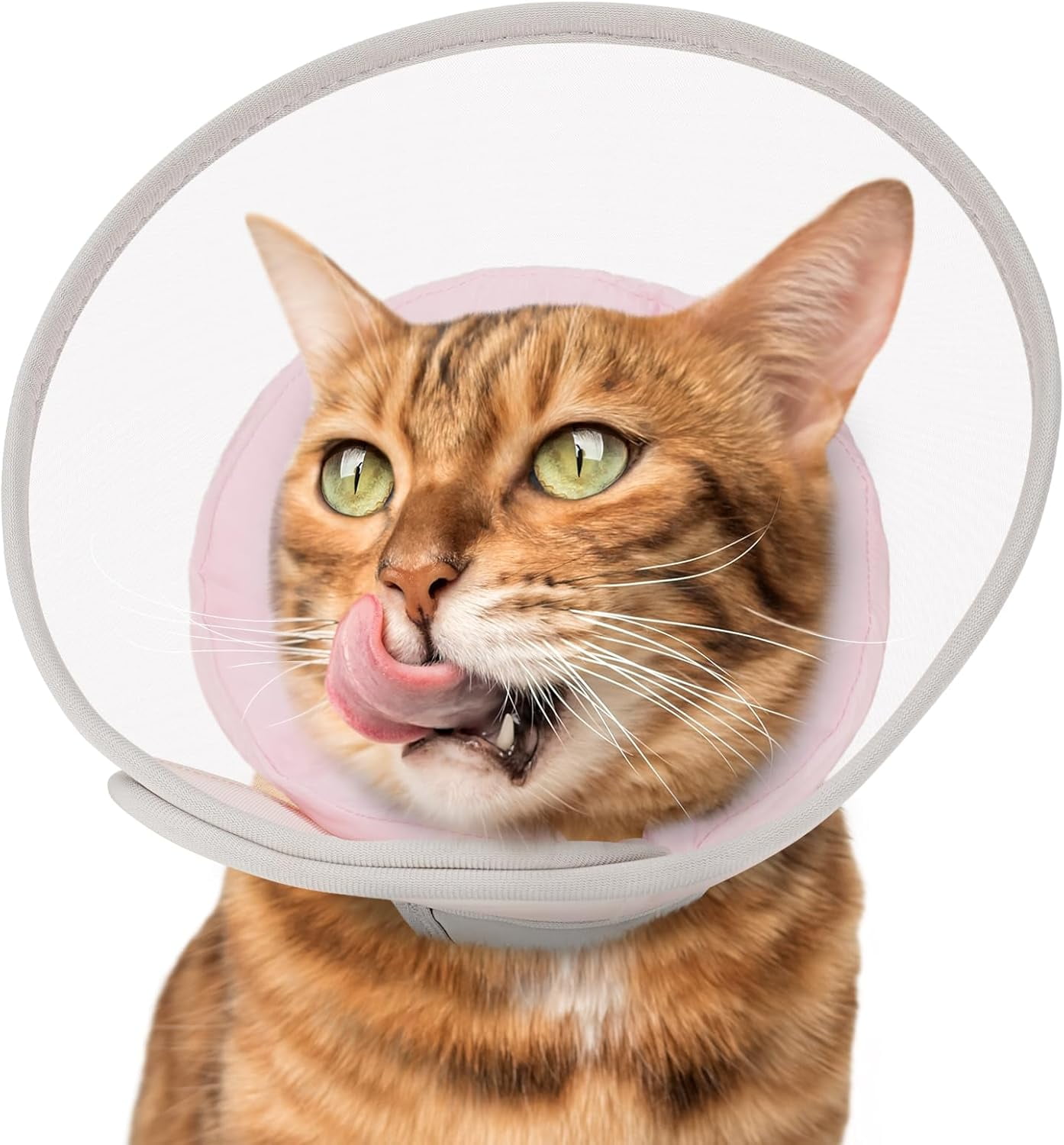 Cat Cone Collar Soft: Comfortable Waterproof Mesh Recovery Cone After ...
