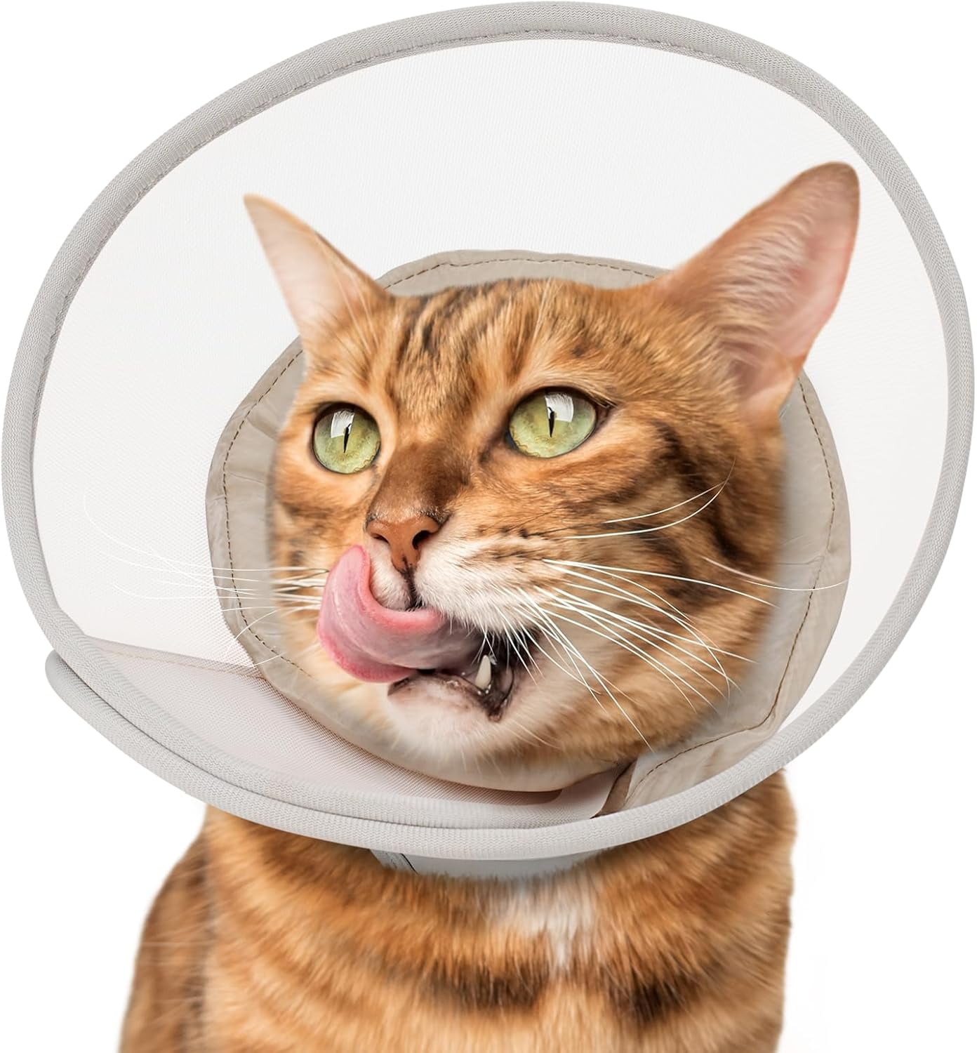 Cat Cone Collar Soft: Comfortable Waterproof Mesh Recovery Cone After ...