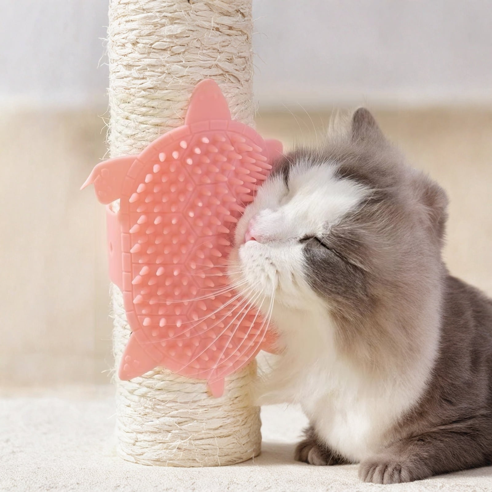 Cat Corner Grooming Brush, Wall Mounted Scratcher, Self-Grooming ...