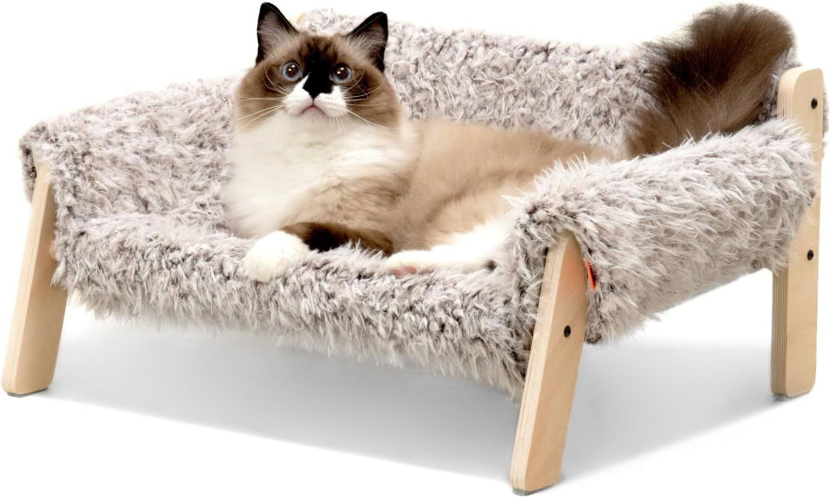 Cat Couch Bed, Pet Sofa for Indoor Cats Wooden Indoor Elevated Cat Beds ...