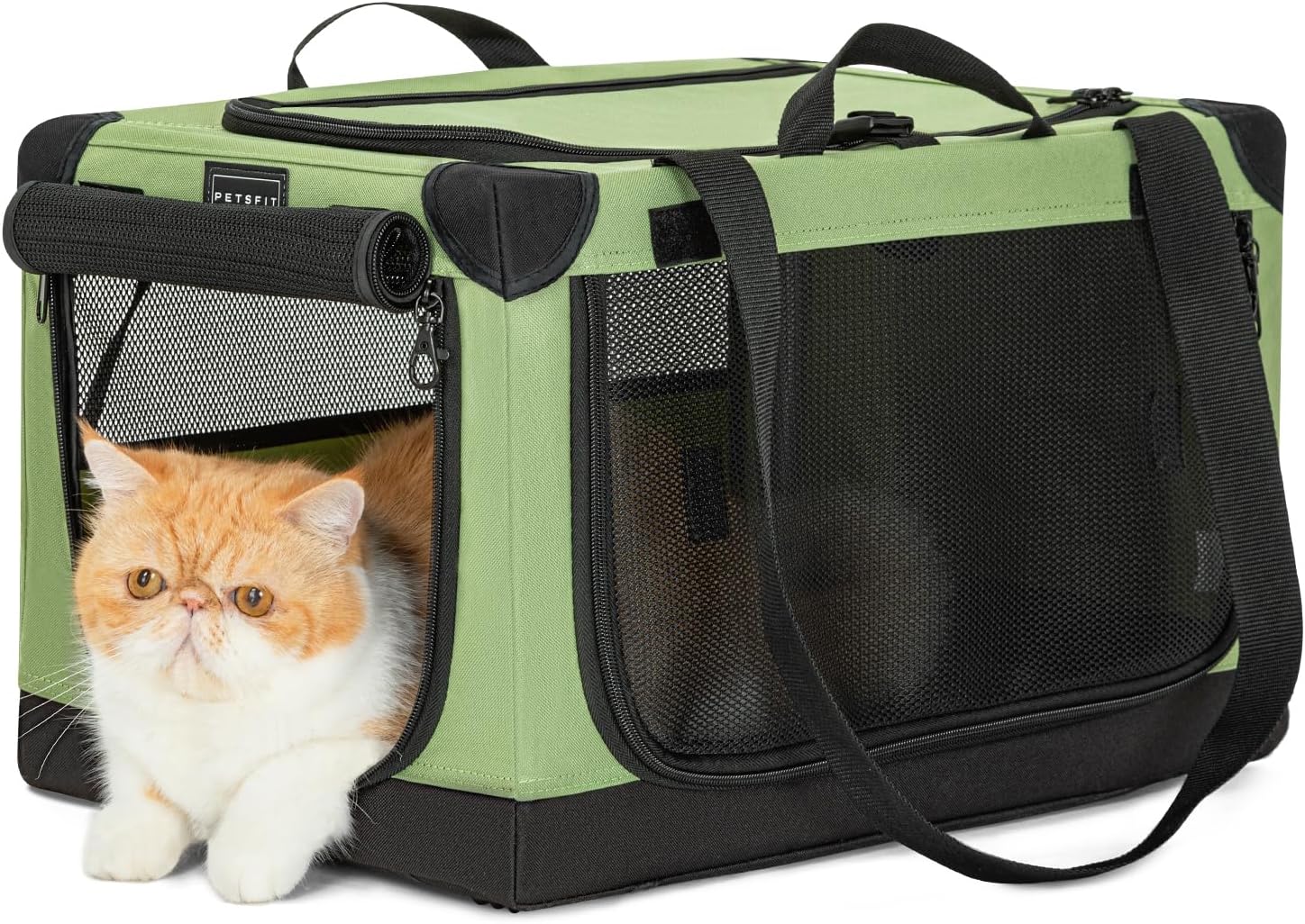 Cat Crate - 20 Inch Lightweight, Easy Setup, Sturdy Portable Dog Crate ...